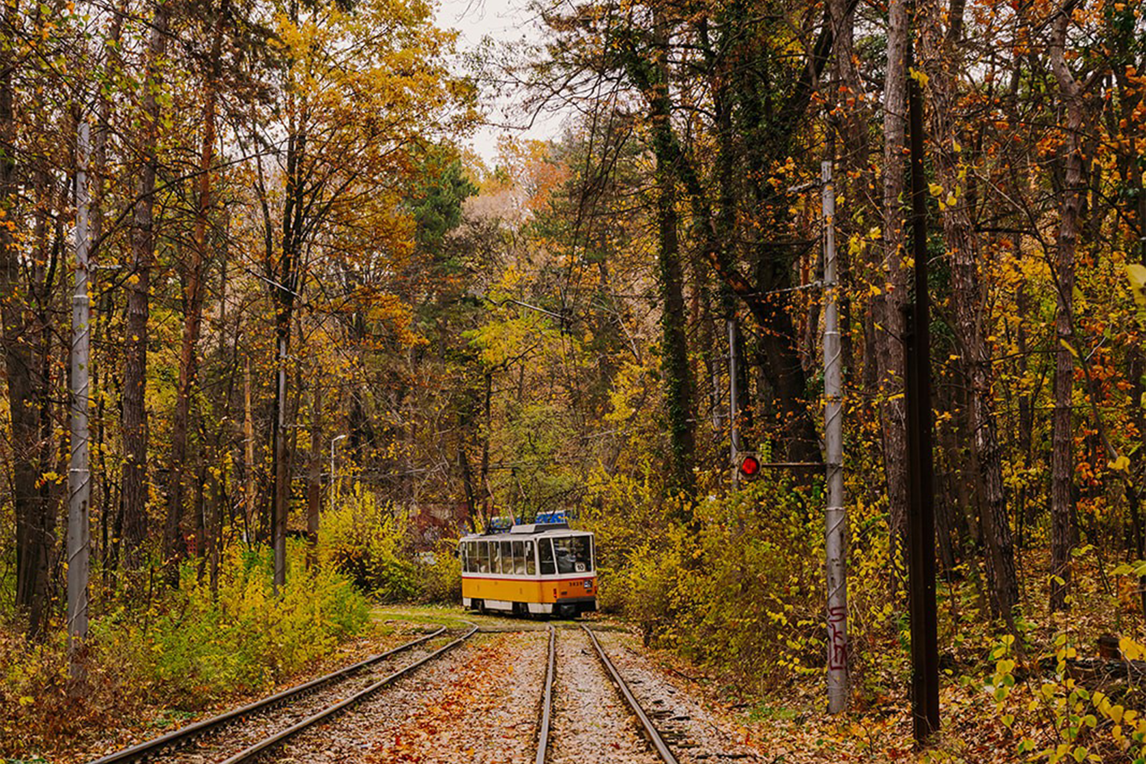 Explore Our Career Opportunities | WorkNomads